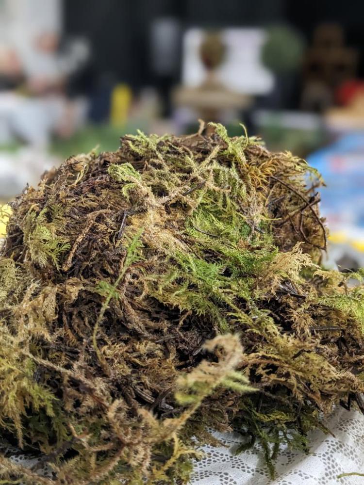 Floral workshops in Derby Florist - Selenas Contemporary Flowers